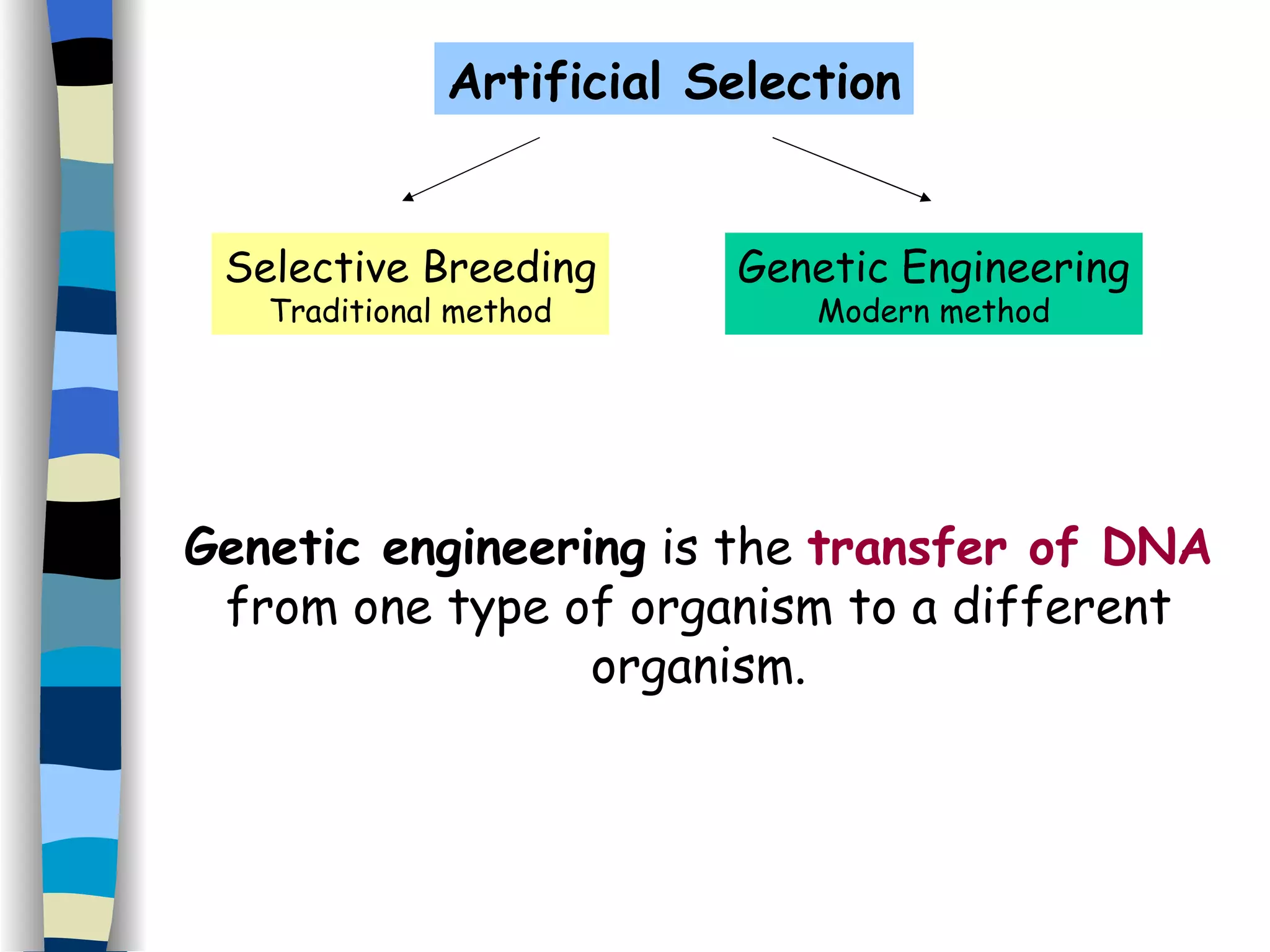 Evolution & Gen. Engineering | PPT