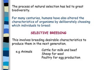 Evolution & Gen. Engineering | PPT