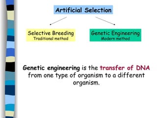 Evolution & Gen. Engineering | PPT | Biotech and Biomedical Industry ...