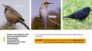 EVOLUTION and Theory of Darwin and examples. | PPTX