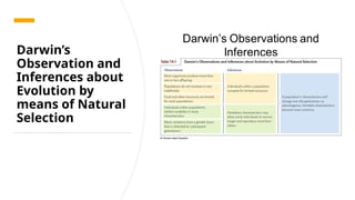 EVOLUTION and Theory of Darwin and examples. | PPT
