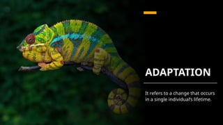 EVOLUTION and Theory of Darwin and examples. | PPTX