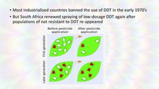 Presentation Evolution-in-present-times. | PPT
