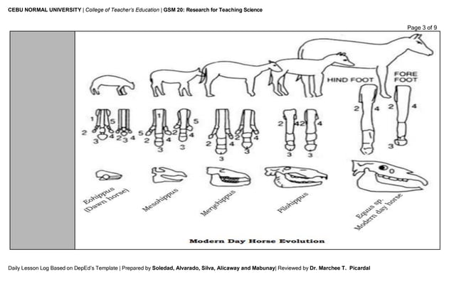Plan of Lesson for Teaching Biological Evolution | PDF