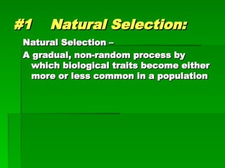BIology_Evolution-Mechanisms-17-18-2.ppt