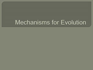 Evolution Part 2 - Mechanisms and Processes | PPTX | Genetics | Science