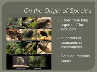 Evolution Part 2 - Mechanisms and Processes | PPTX | Genetics | Science