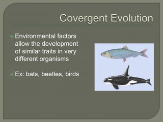 Evolution Part 2 - Mechanisms and Processes | PPTX | Genetics | Science