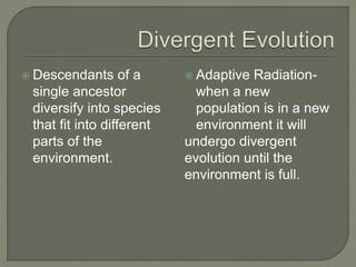 Evolution Part 2 | PPT