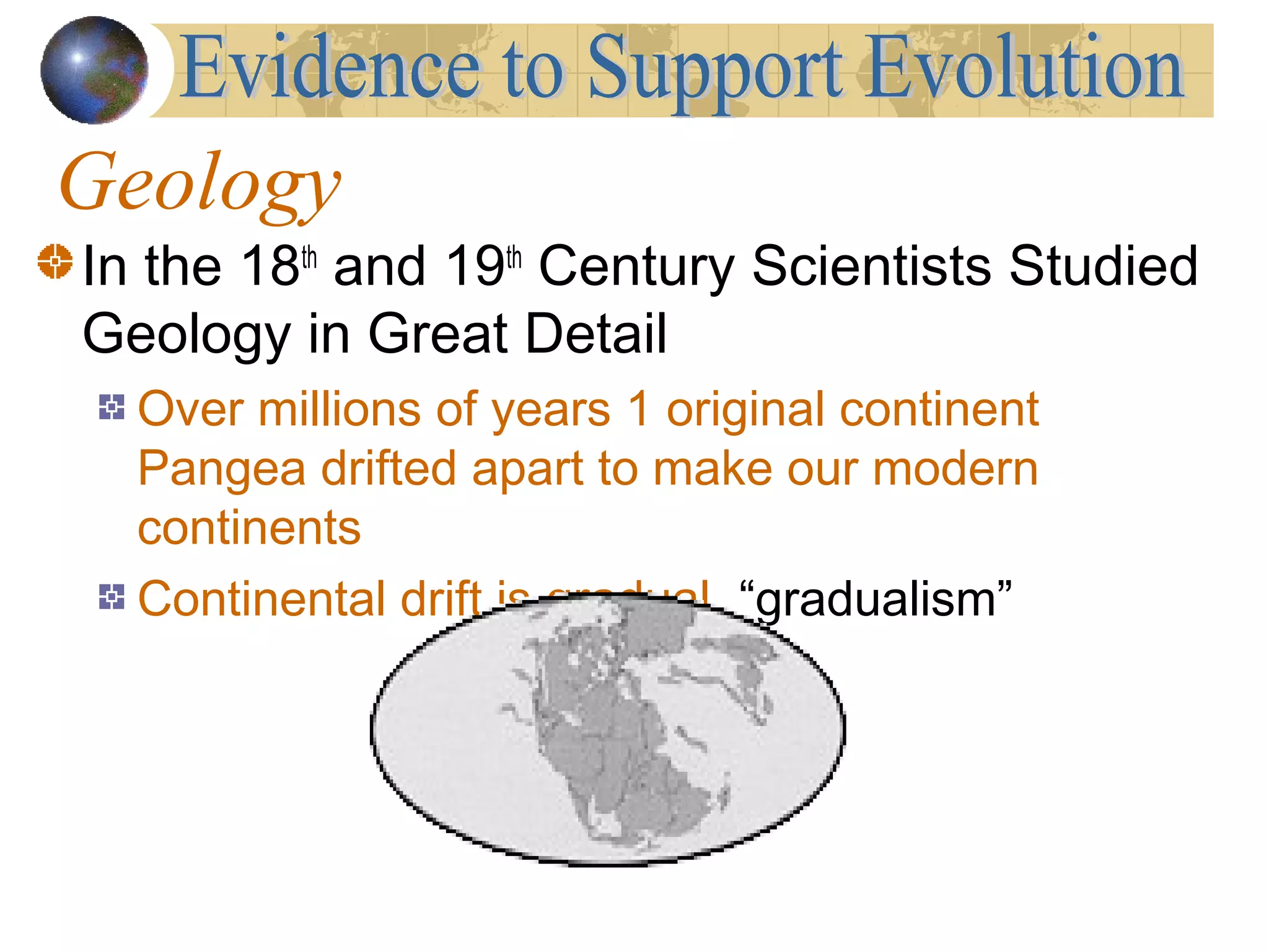 Evidence of Evolution | PPT