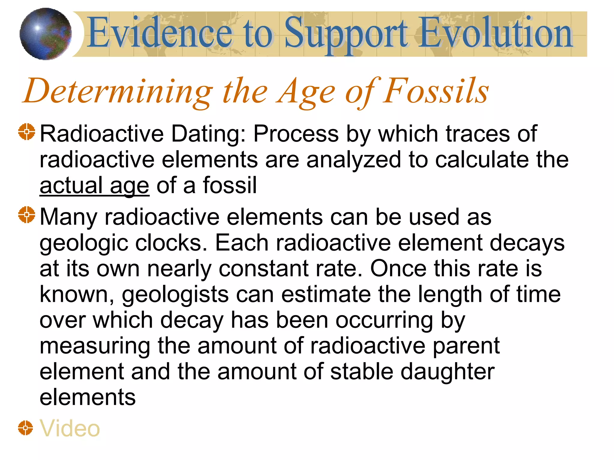 Evidence of Evolution | PPT