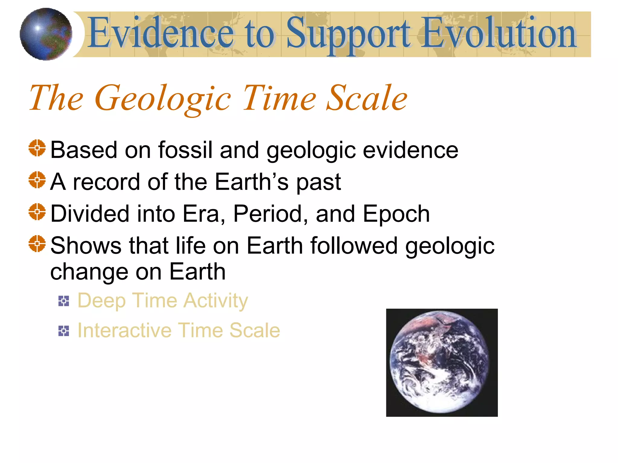 Evidence of Evolution | PPT