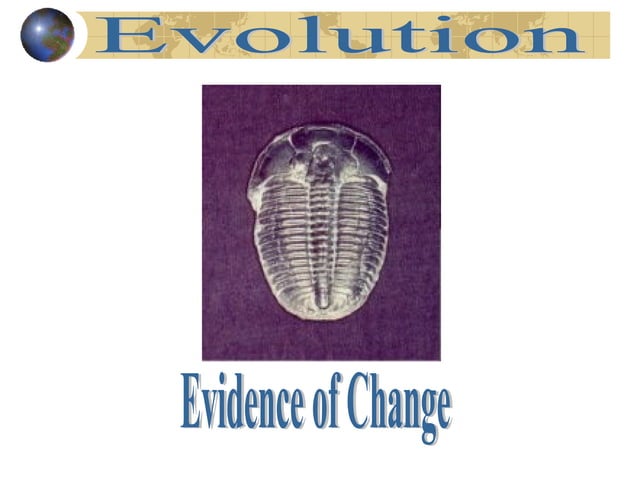 Evidence of Evolution | PPT