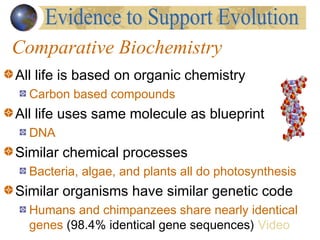 Evidence of Evolution | PPT