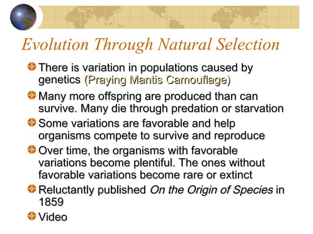 Evidence of Evolution | PPT