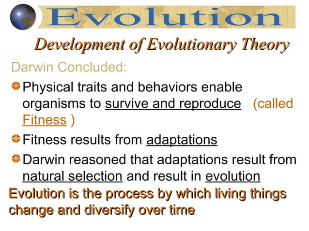 Evidence of Evolution | PPT