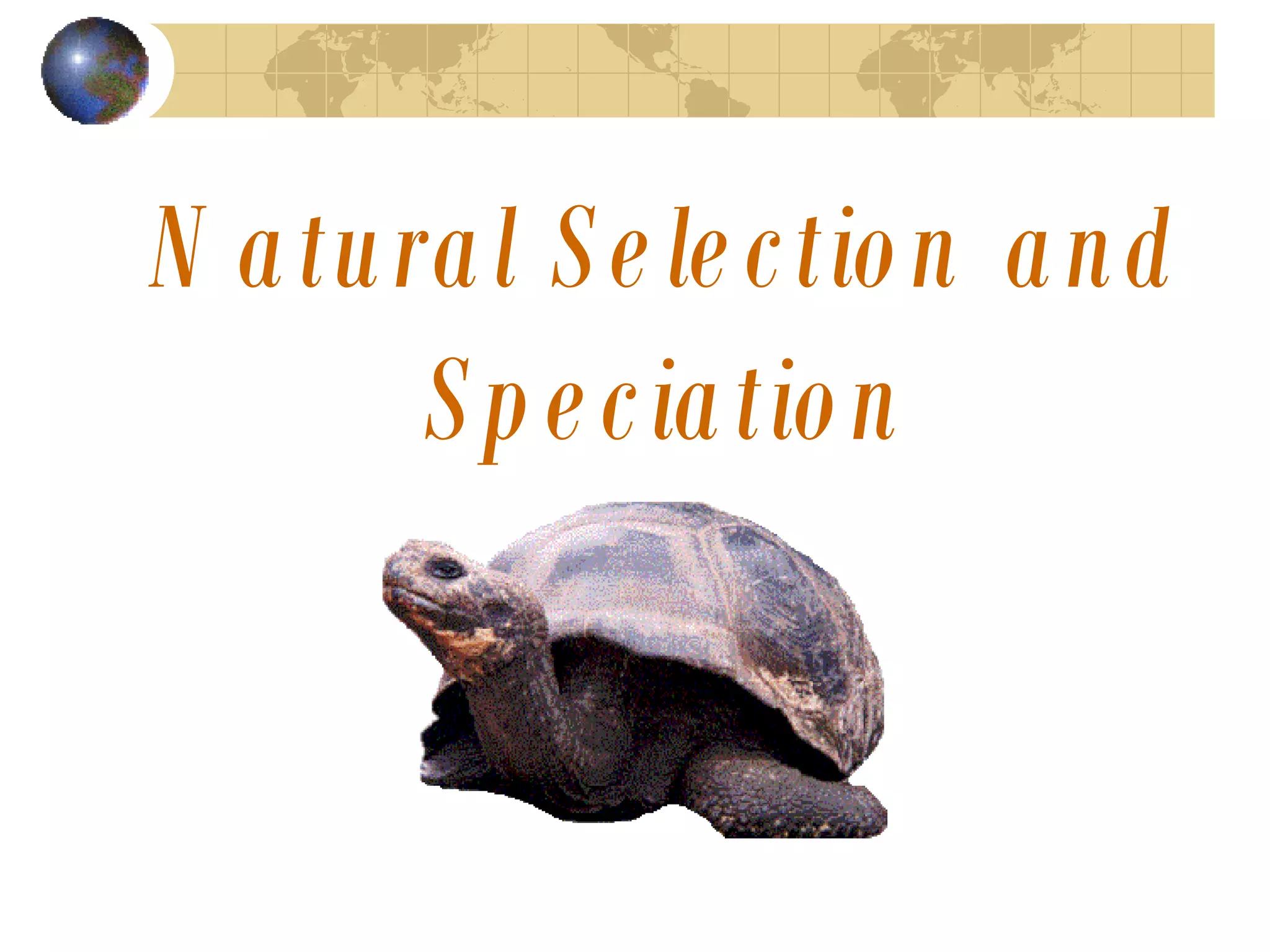 Evolution, Natural Selection, and Speciation | PPT