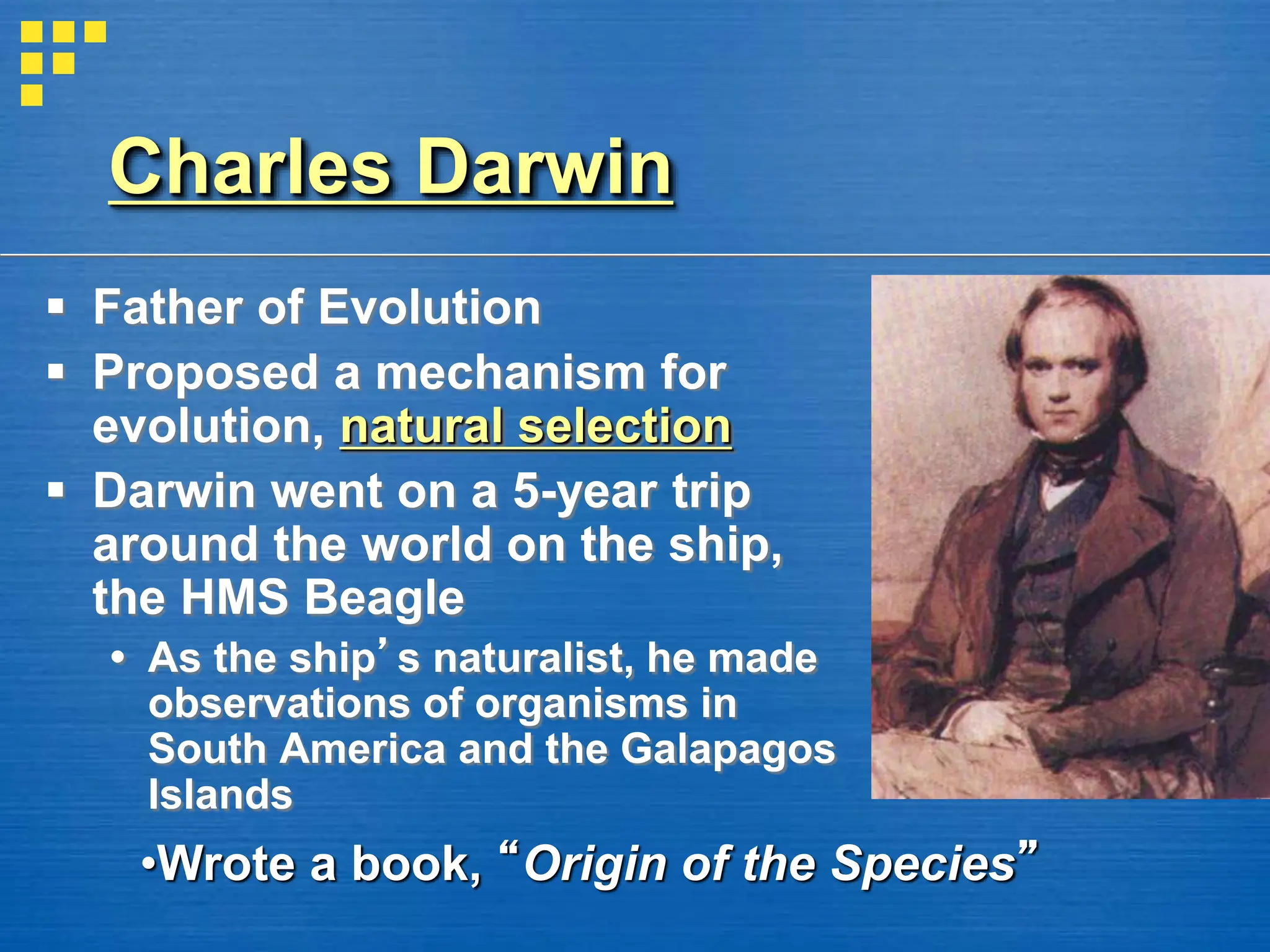 Evolution- Natural Selection.pptnjjhggffffff | PPT