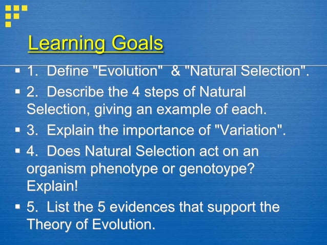 Evolution- Natural Selection.pptnjjhggffffff | PPT