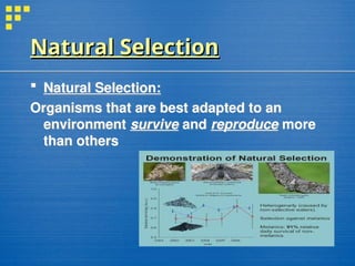 Biology Evolution and Natural Selection.ppt