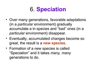 Evolution - Nuts and Bolts.ppthyyhyihybiyivy | PPT