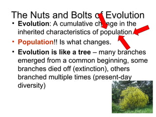 Evolution - Nuts and Bolts.ppthyyhyihybiyivy | PPT