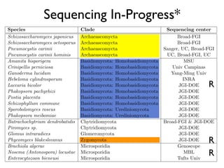 Evolution of gene family size change in fungi | PPT