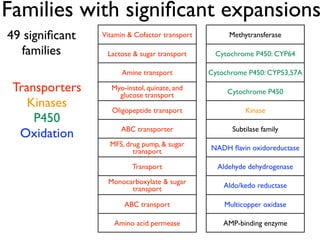Evolution of gene family size change in fungi | PPT