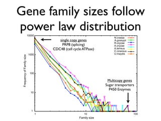 Evolution of gene family size change in fungi | PDF | Biological ...
