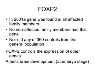 Evolution of-language-slides | PPT