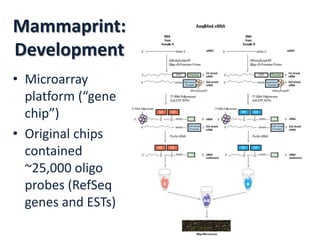 Evolution of molecular prognostic testing in ER positive breast cancer ...