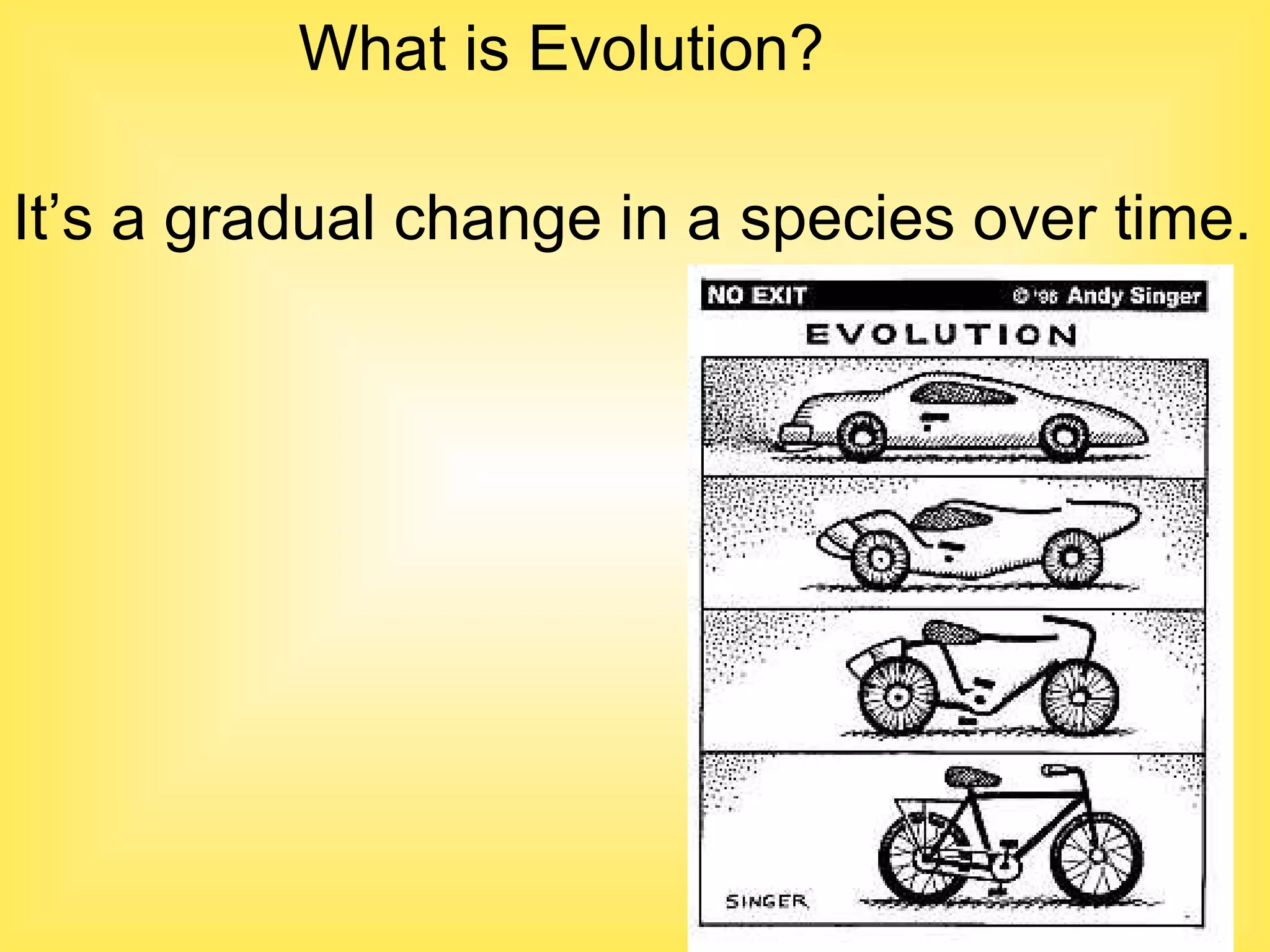 Evolution Power Point | PPT