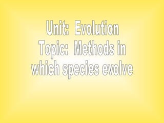 Evolution Power Point | PPT
