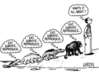 Evolution Power Point | PPT