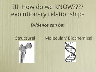 evolution-basics-humans and animals in general | PPT