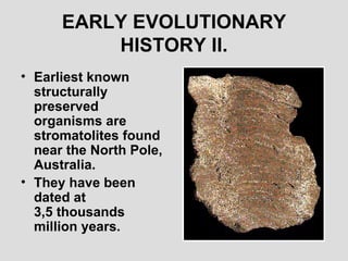 Evolution Practicals | PPT
