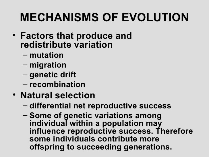 Evolution Practicals