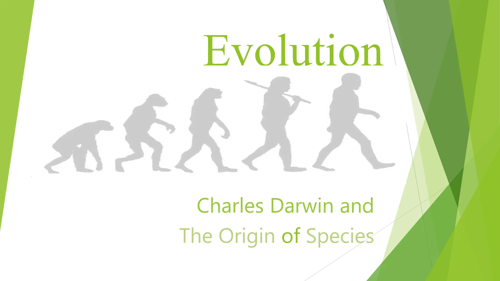 Evolution- evolution of life Presentation.ppt