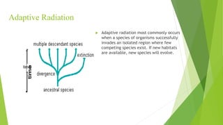 Evolution- evolution of life Presentation.ppt
