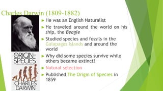 Evolution- evolution of life Presentation.ppt