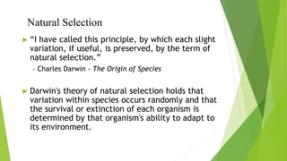 Evolution- evolution of life Presentation.ppt