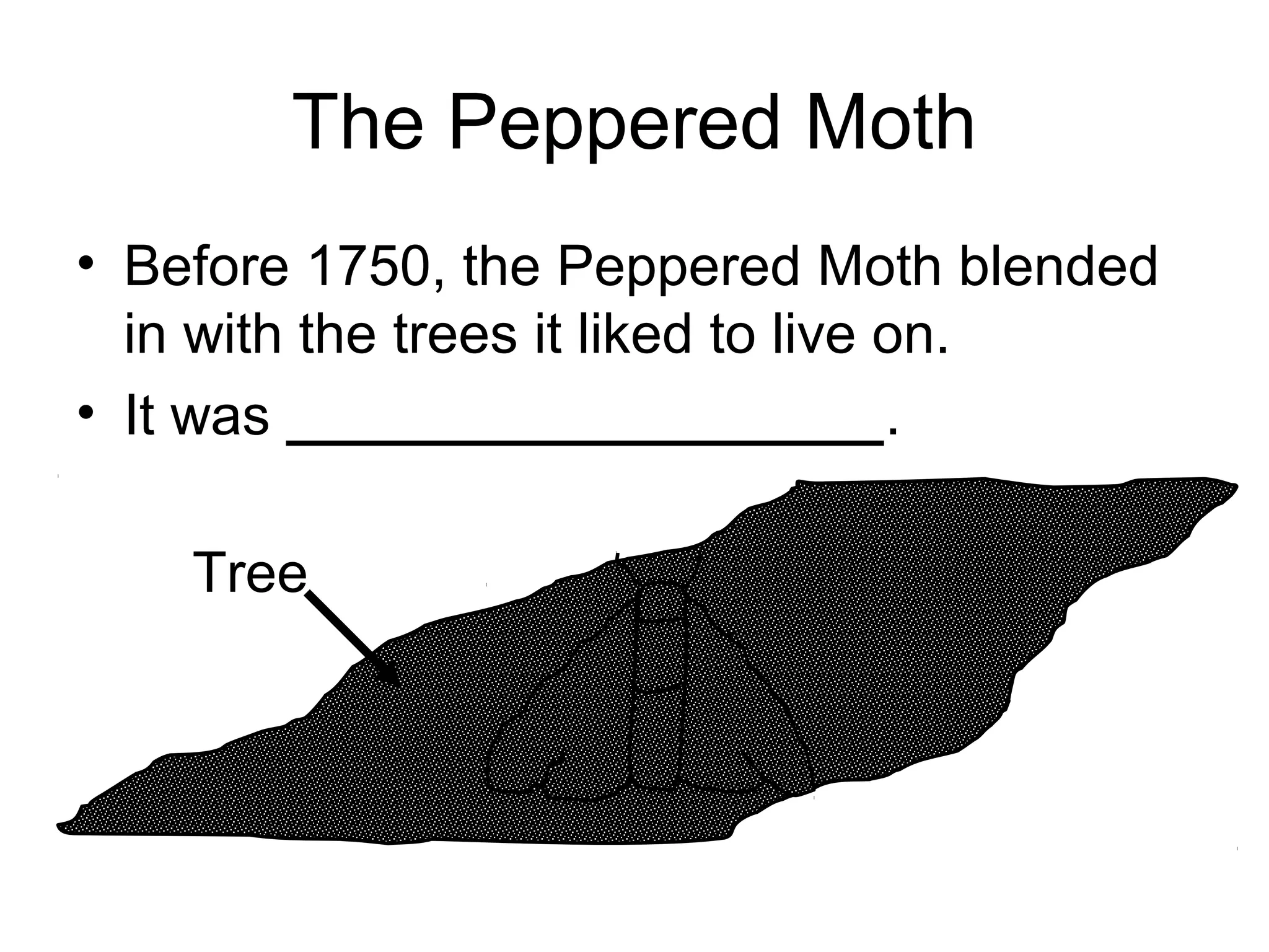 Evolution -the peppered moth presentation student version | PPT