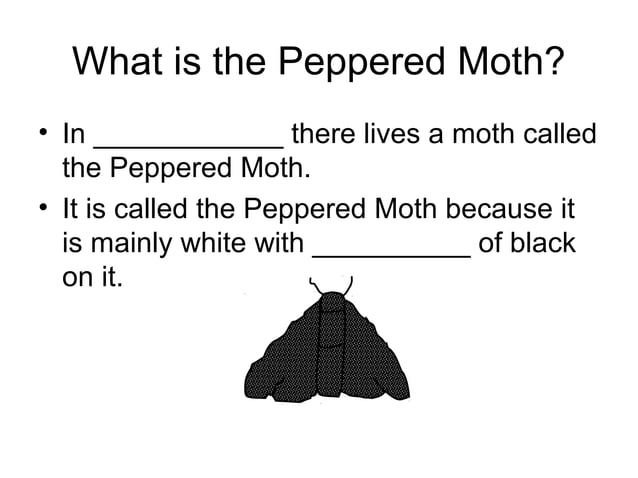 Evolution -the peppered moth presentation student version | PPT ...