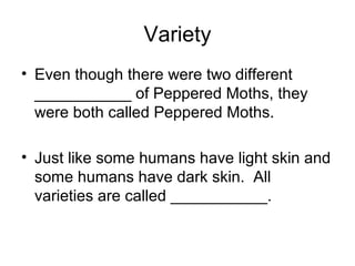 Evolution -the peppered moth presentation student version | PPT