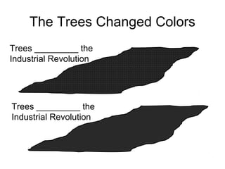 Peppered Moths Evolution Diagram