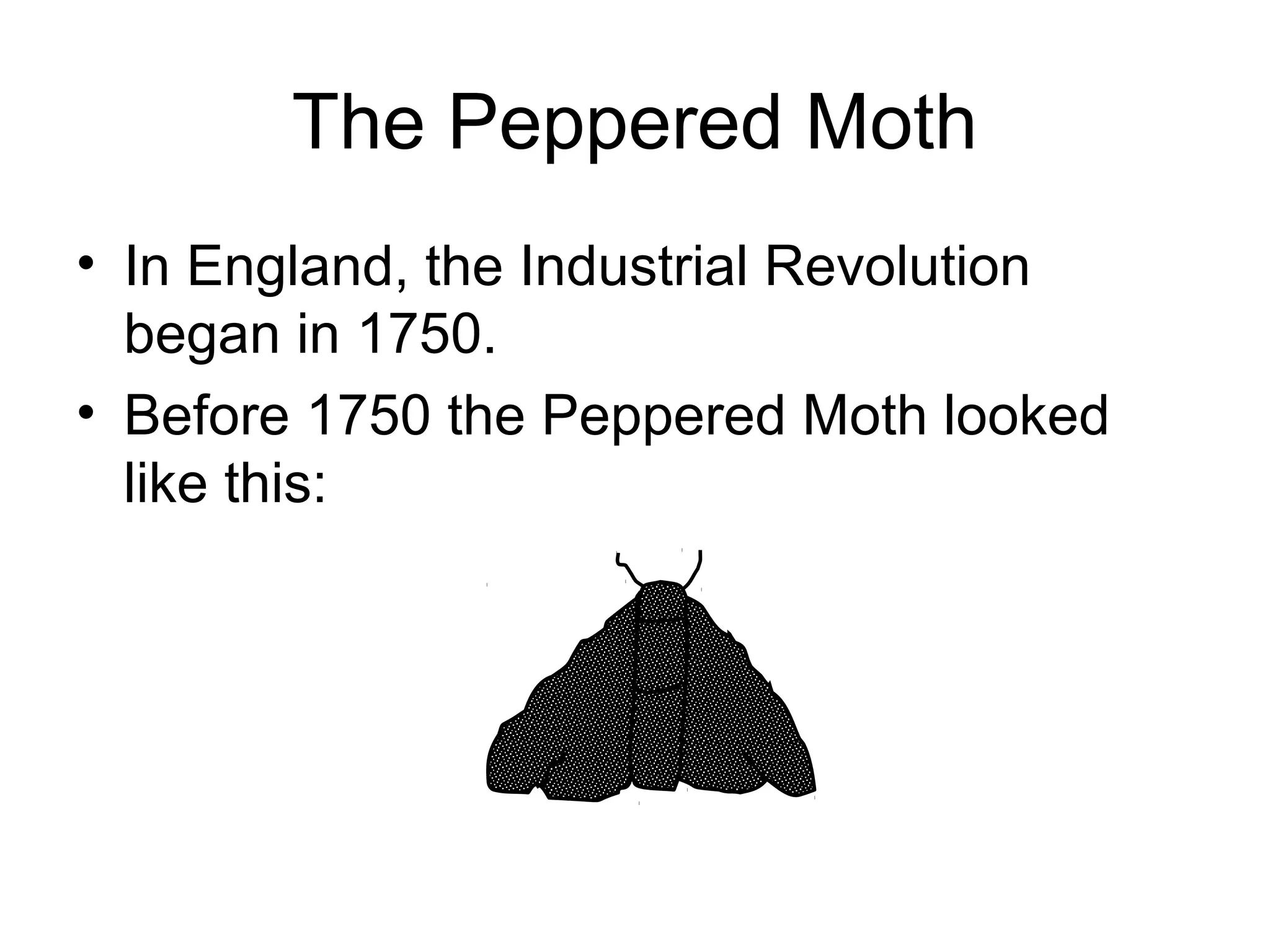 Evolution -the peppered moth presentation teacher version | PPT