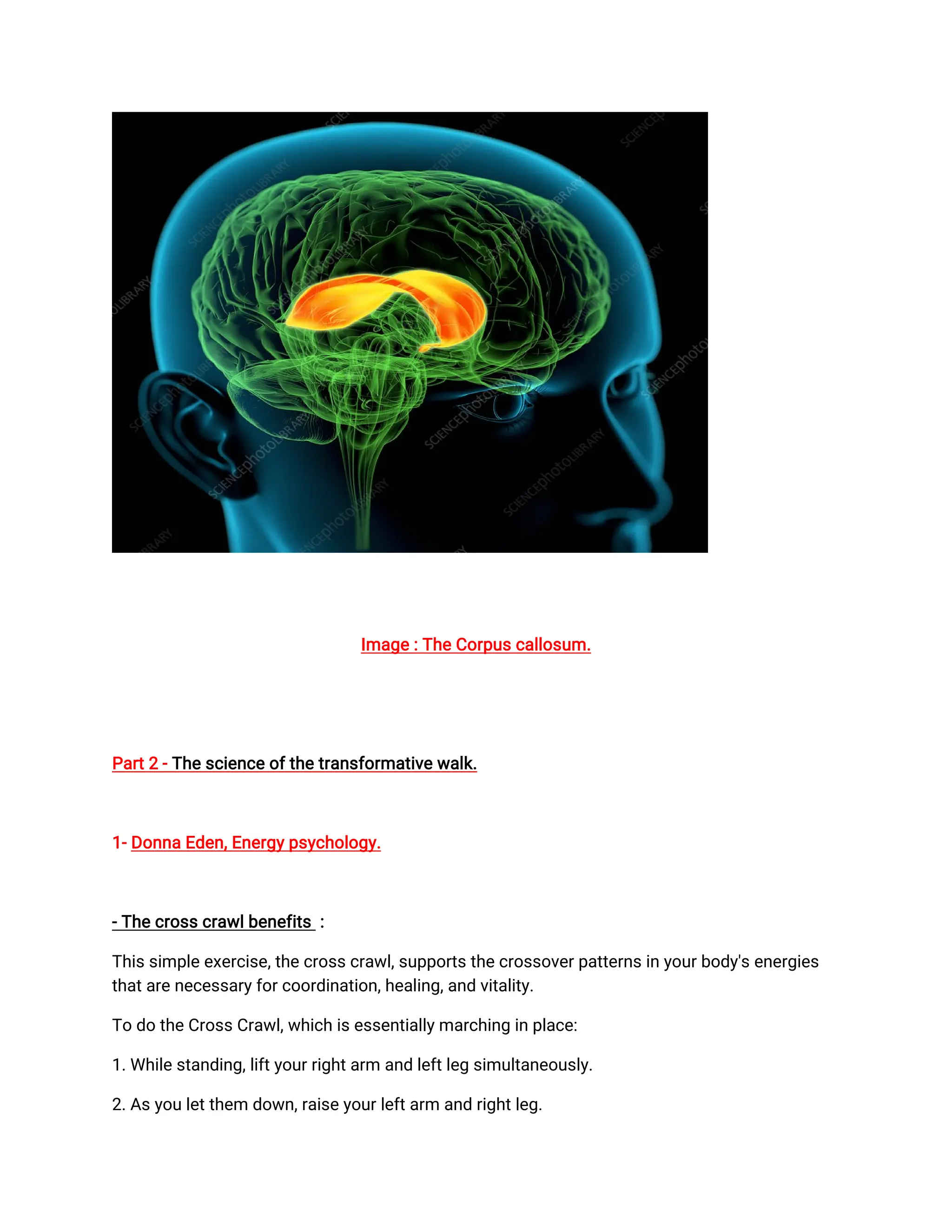 Evolution -The transformative unifying walk.pdf | Lung and Respiratory Health | Diseases and ...