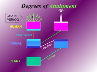 Evolution Through Chains and Rounds | PPT