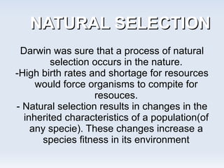 Evolution webquest | PPT