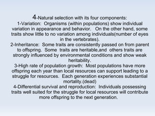 Evolution webquest | PPT